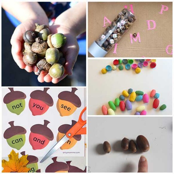 Acorn and Squirrel Book Based Activity Plan for Toddlers and Preschoolers