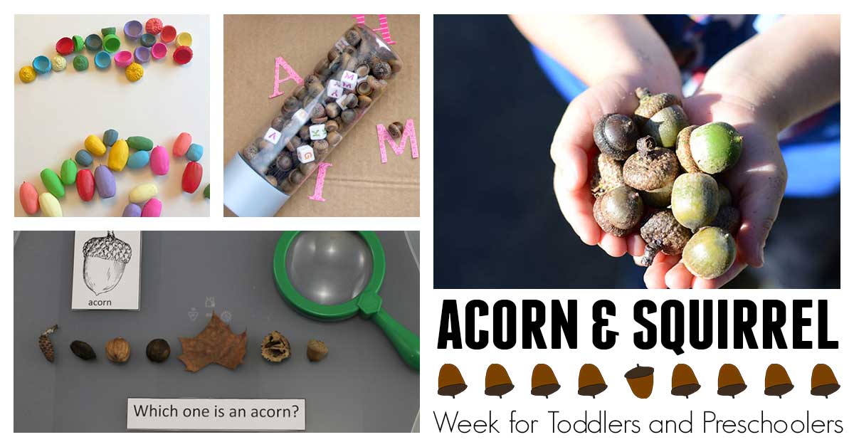 Acorn and Squirrel Book Based Activity Plan for Toddlers and Preschoolers