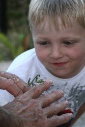 Bug and Butterflies Spring Mini Camp for Toddlers and Preschoolers