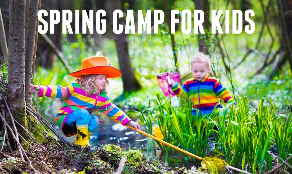 Bug and Butterflies Spring Mini Camp for Toddlers and Preschoolers