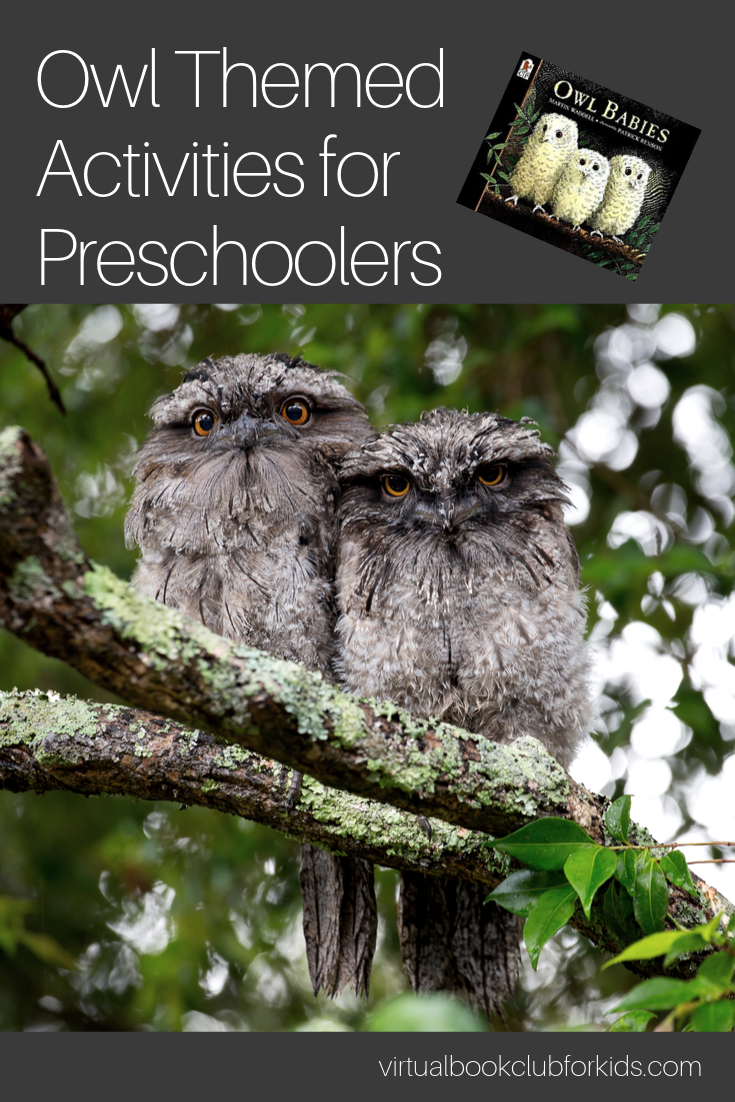 Owl Themed Activities for Preschoolers Featuring Owl Babies