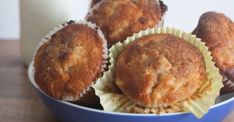 If you Give a Moose a Muffin Themed Week Plan for Preschool