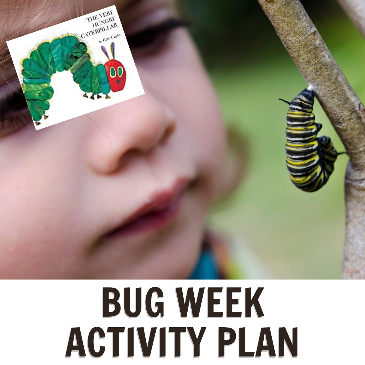 The Very Hungry Caterpillar & Bug Themed Activity Plan for Preschoolers
