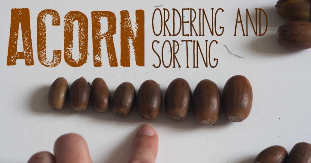 Because of an Acorn Activity Plan for Preschoolers