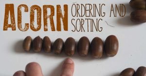 Because of an Acorn Activity Plan for Preschoolers