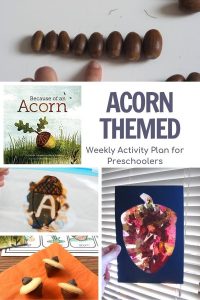 Because of an Acorn Activity Plan for Preschoolers