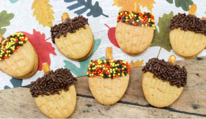 Acorn and Squirrel Book Based Activity Plan for Toddlers and Preschoolers