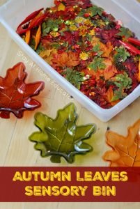 Leaf Themed Book Based Activities for Toddlers and Preschoolers