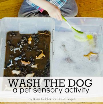 Dog's Colorful Day Activities for Preschoolers and Toddlers