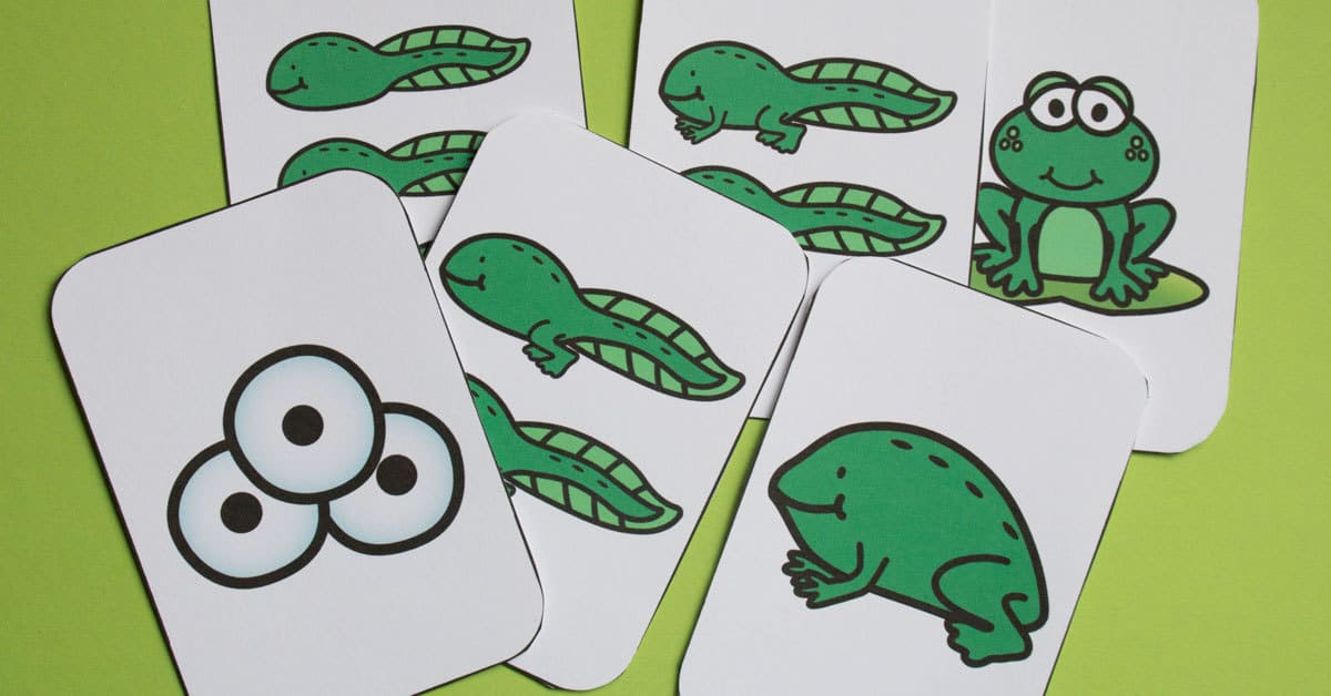 Frog Week Activity Plan Featuring The Wide Mouthed Frog