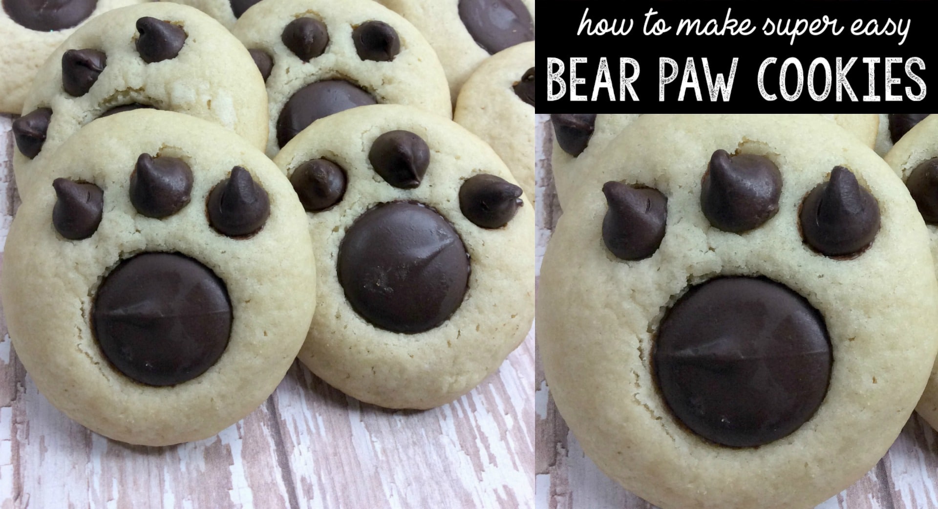 Gratitude Week Activity Plan for Preschool Featuring Bear Says Thanks