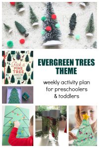 Pick a Pine Tree Evergreen Tree Week Activity Plan